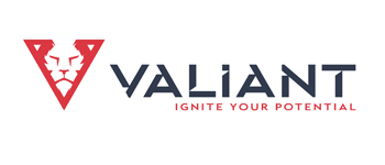 Valiant ERP | Praxis Software